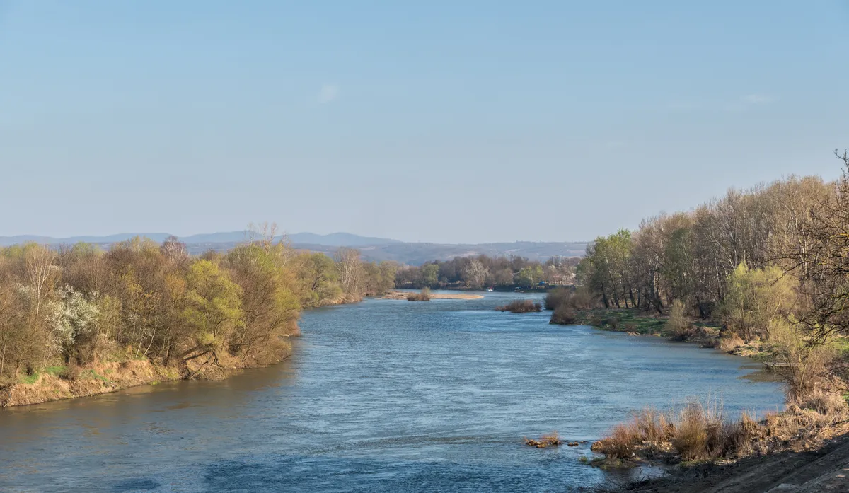 Prolaznici prijavili da telo pluta u Velikoj Moravi: Specijalistički ...