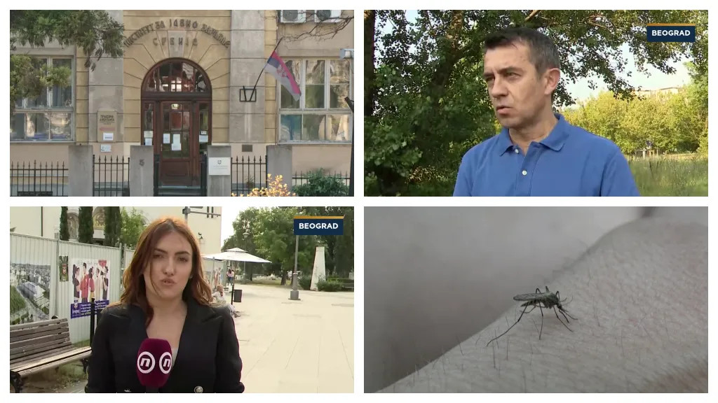 Registrovan prvi slučaj groznice Zapadnog Nila u Srbiji: Evo kako se ...