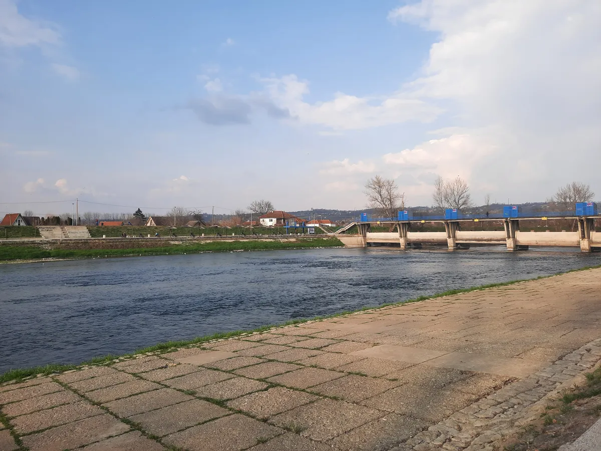 Telo žene plutalo Južnom Moravom kod Leskovca: Meštani ga primetili i ...