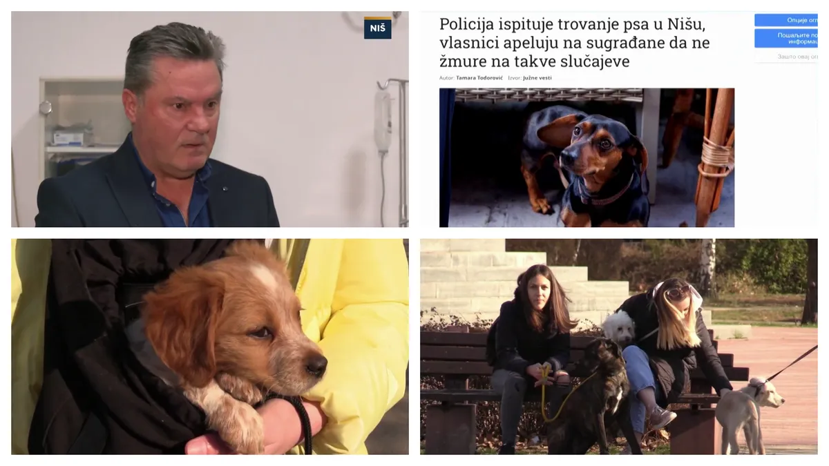 Nova trovanja pasa u Nišu: Koliko je insekticid "lanate" opasan za ...