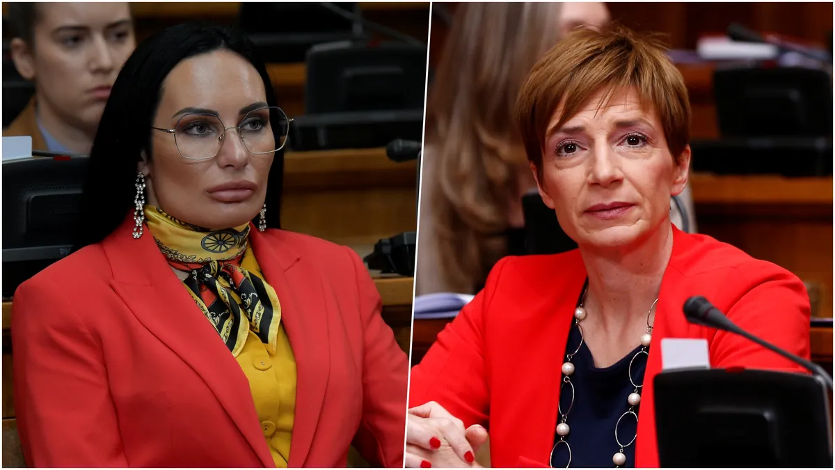 Selfi Staša Stojanović još jednom pokazala kulturu SNS, prostački ...