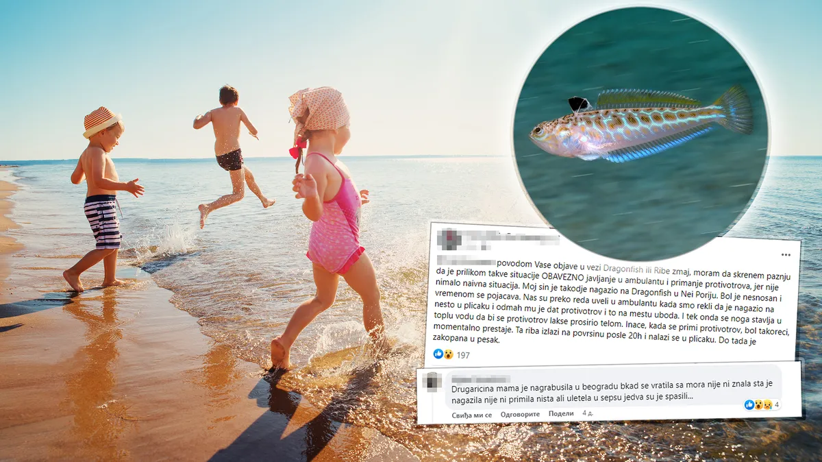 "Ovo nije za zezanje" - riba Dragana hara omiljenim plažama srpskih ...