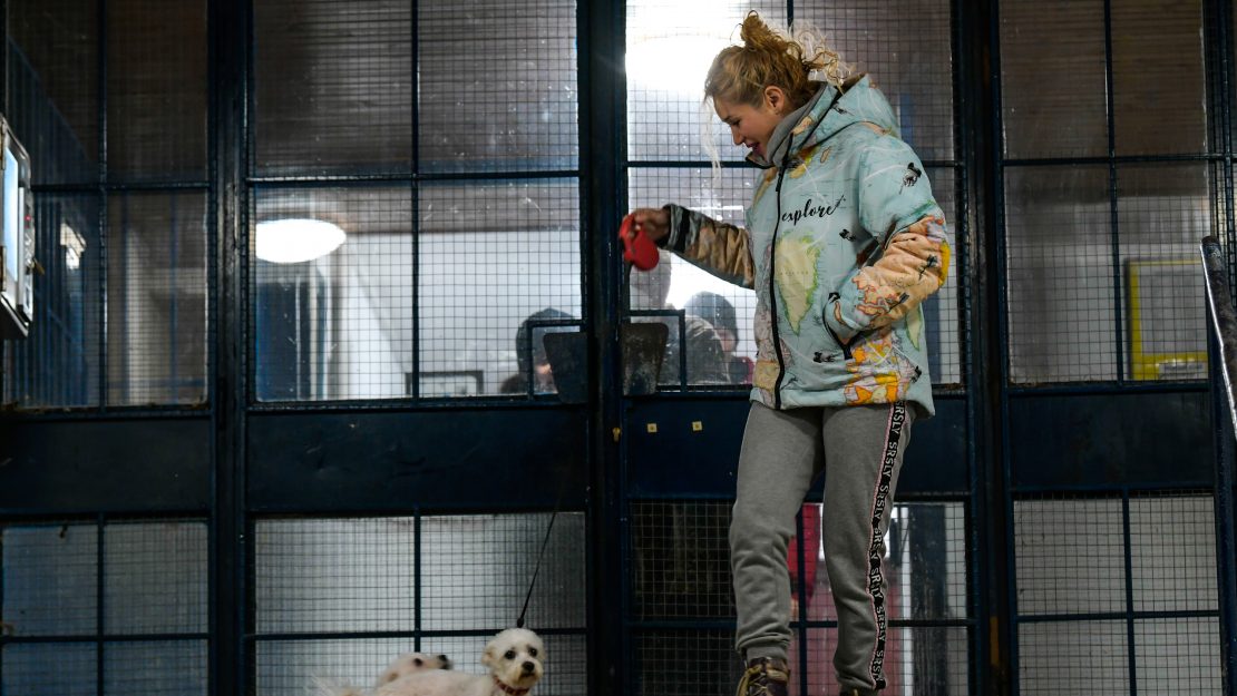 MUP: Šetnja pasa dozvoljena od 23h do 1h, a u nedelju 8-10