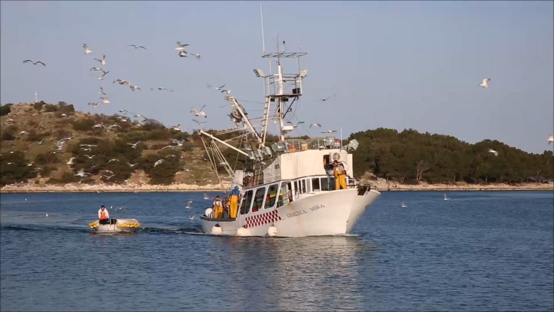 Lepe scene - Ribari u Dalmaciji se vratili na more