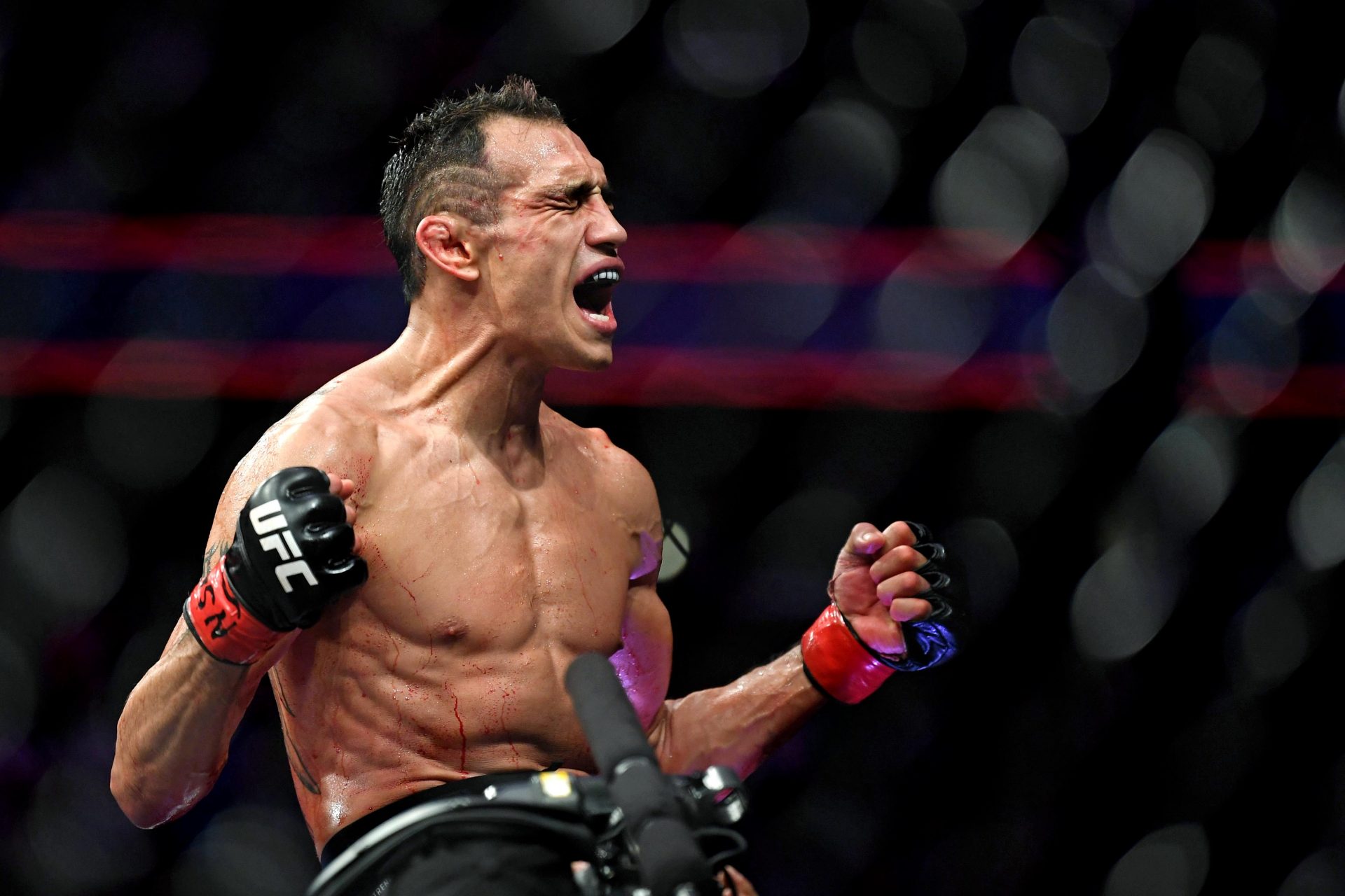 Vraća se UFC - Ferguson protiv Habibove zamene