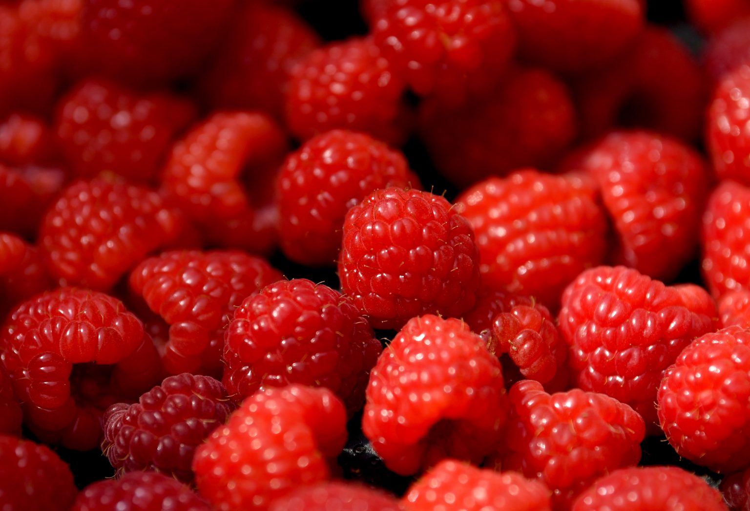 Šest namirnica koje nutricionisti rado biraju za doručak