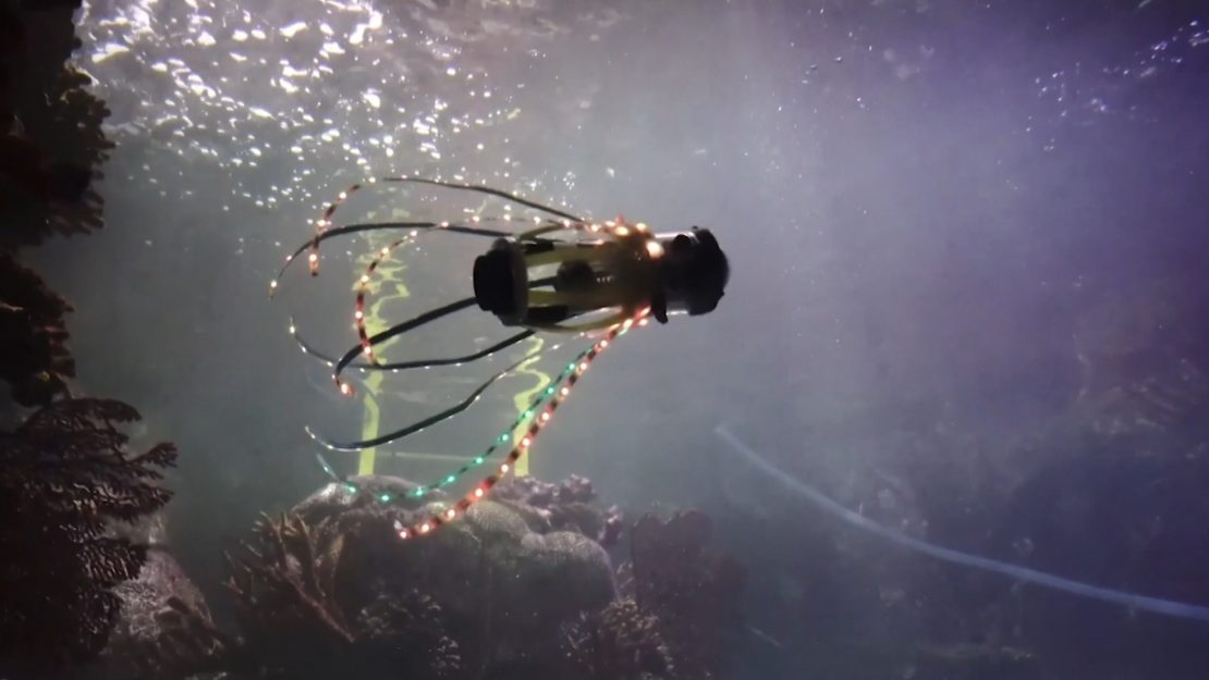 Robot "meduza" - istraživanje okeana iz neverovatnog ugla