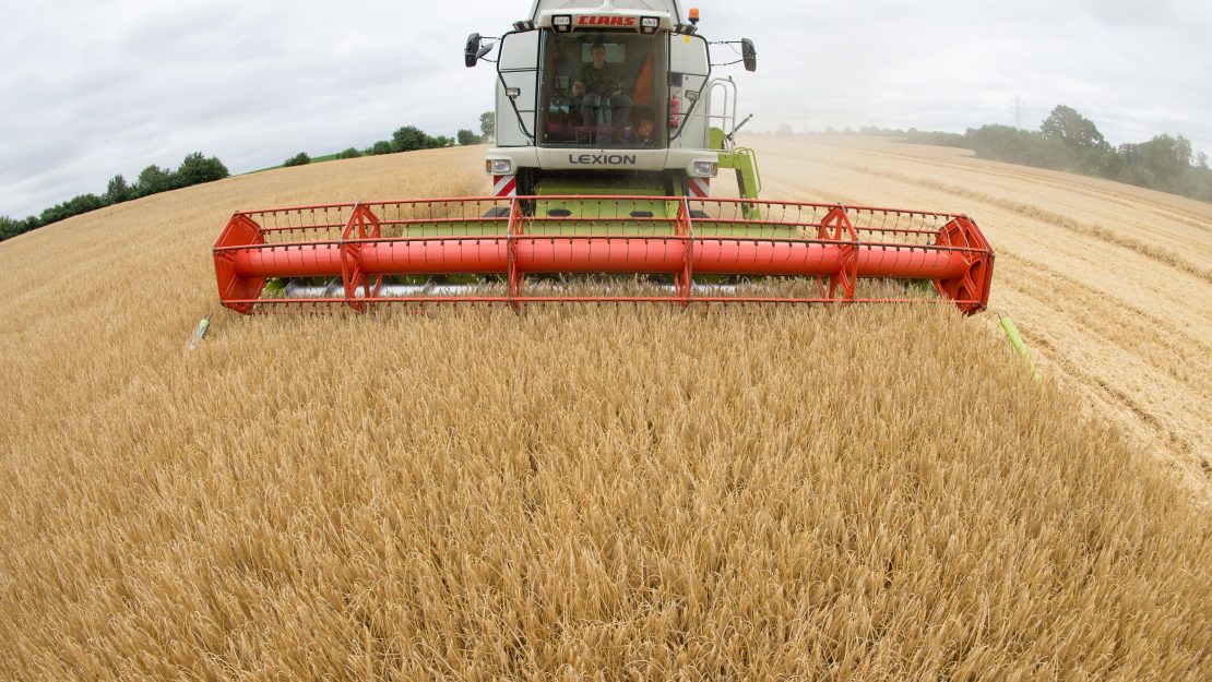 Vučićevo sticanje poena (pre)skupo za izvoznike: "Udavićemo se u zalihama"