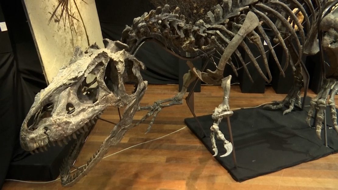Kostur dinosaurusa prodat na aukciji za tri miliona evra