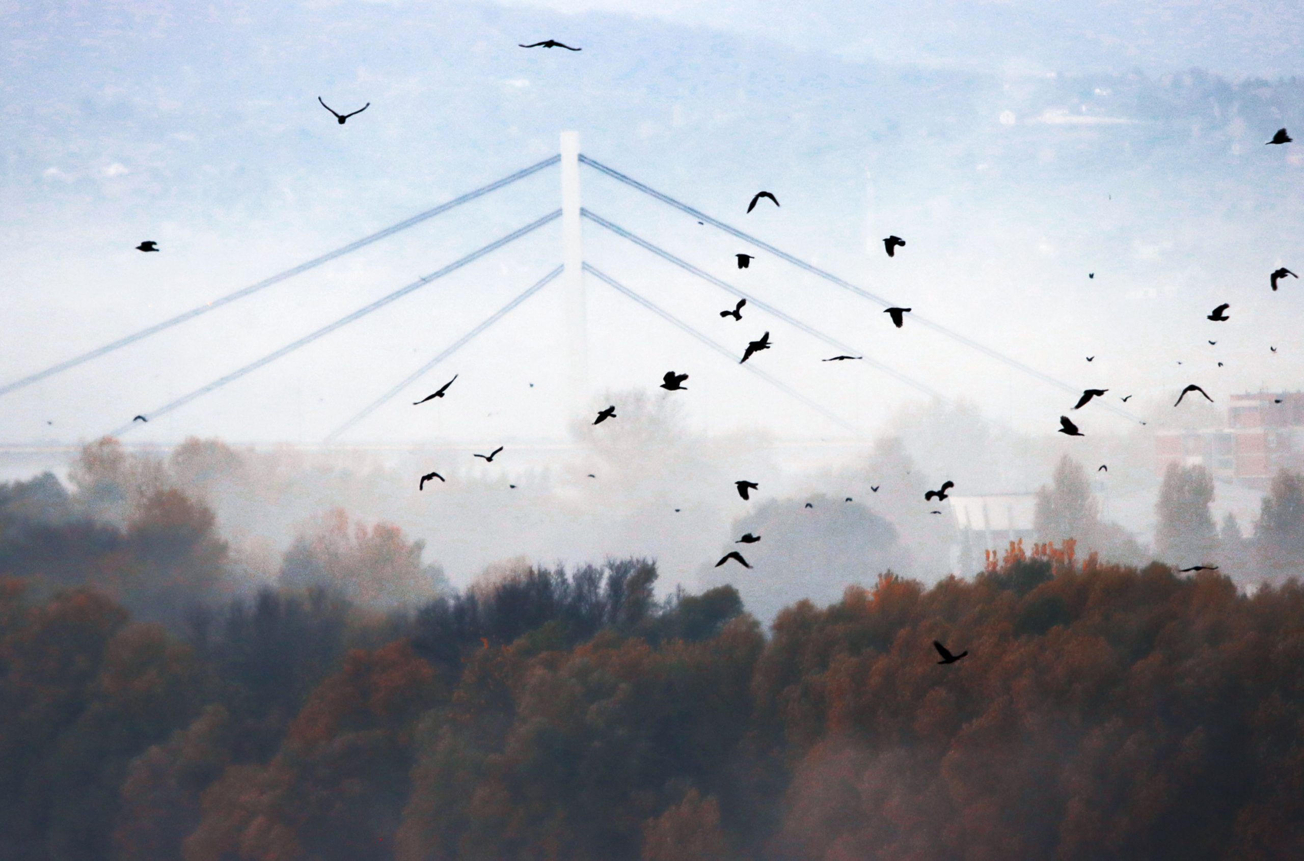 Najbolje fotografije – 19. novembar 2020.