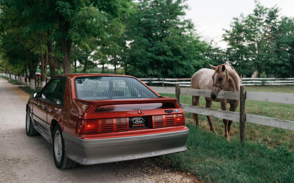 Šta je za vas Mustang, divlji konj ili Ford?