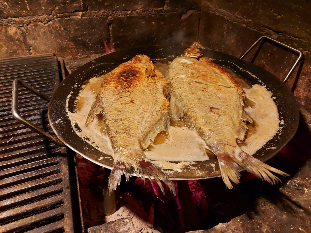 Kuva majstor amater: Deverika - najslađa rečna riba