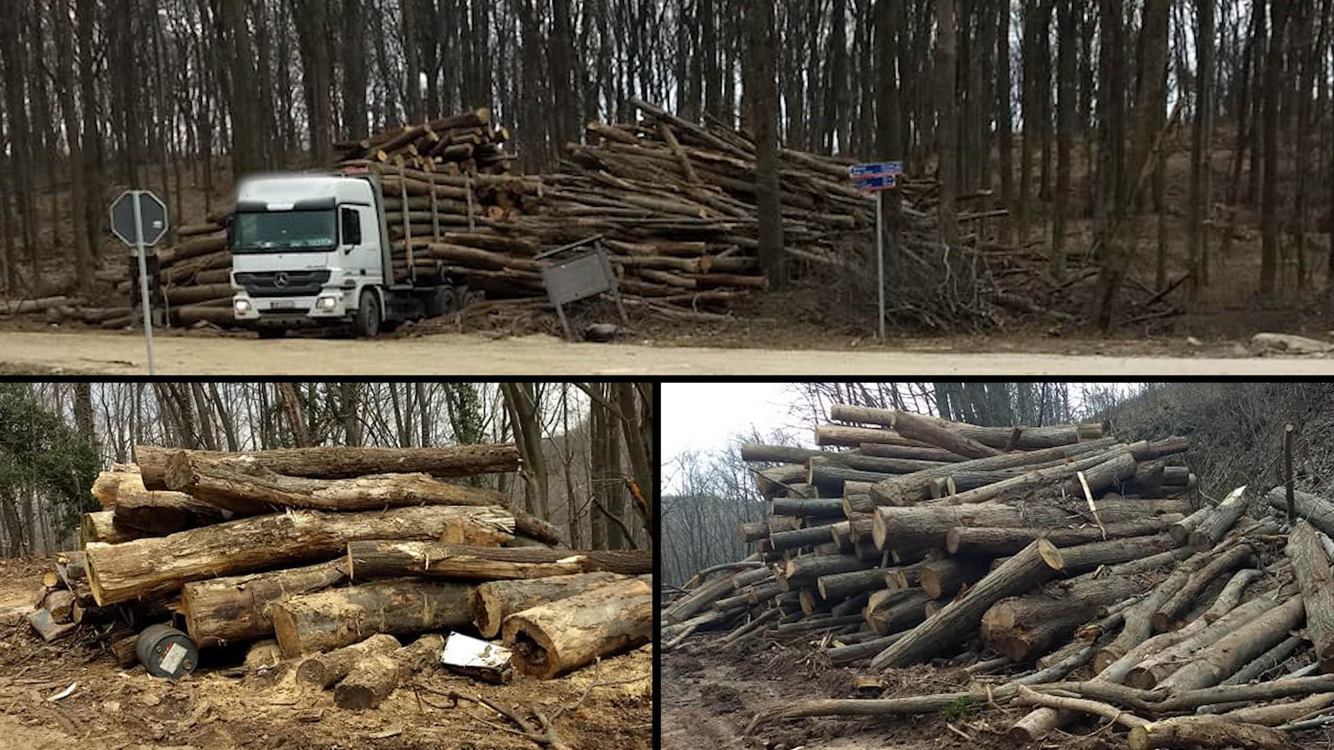 Crkva profitira od seče šuma u Nacionalnom parku Fruška gora