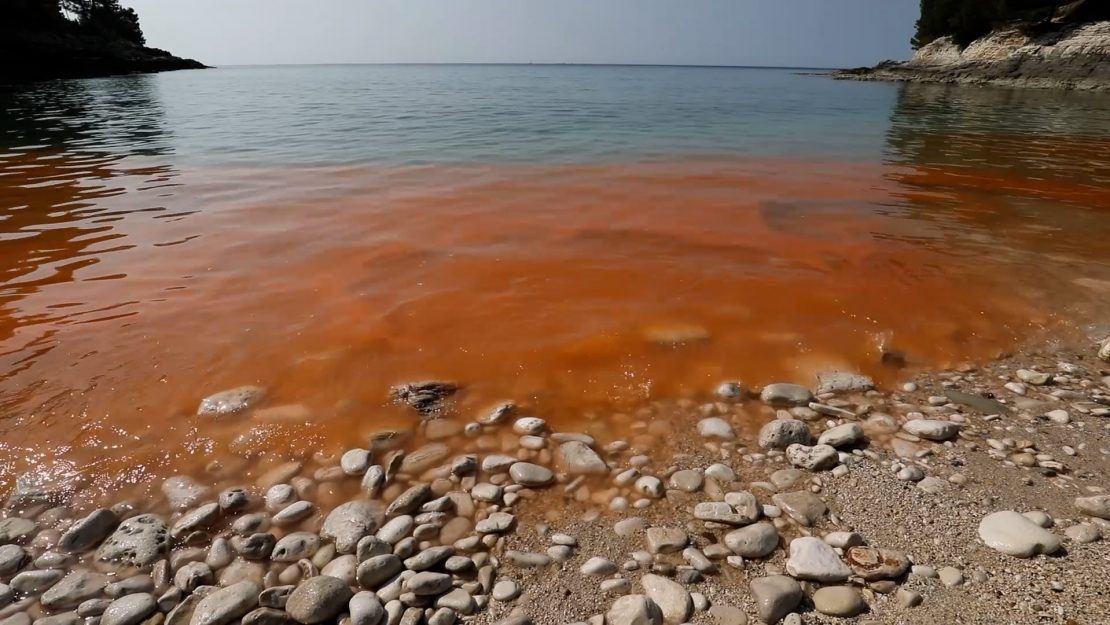 Pula - narandžasta boja mora uznemirila stanovništvo