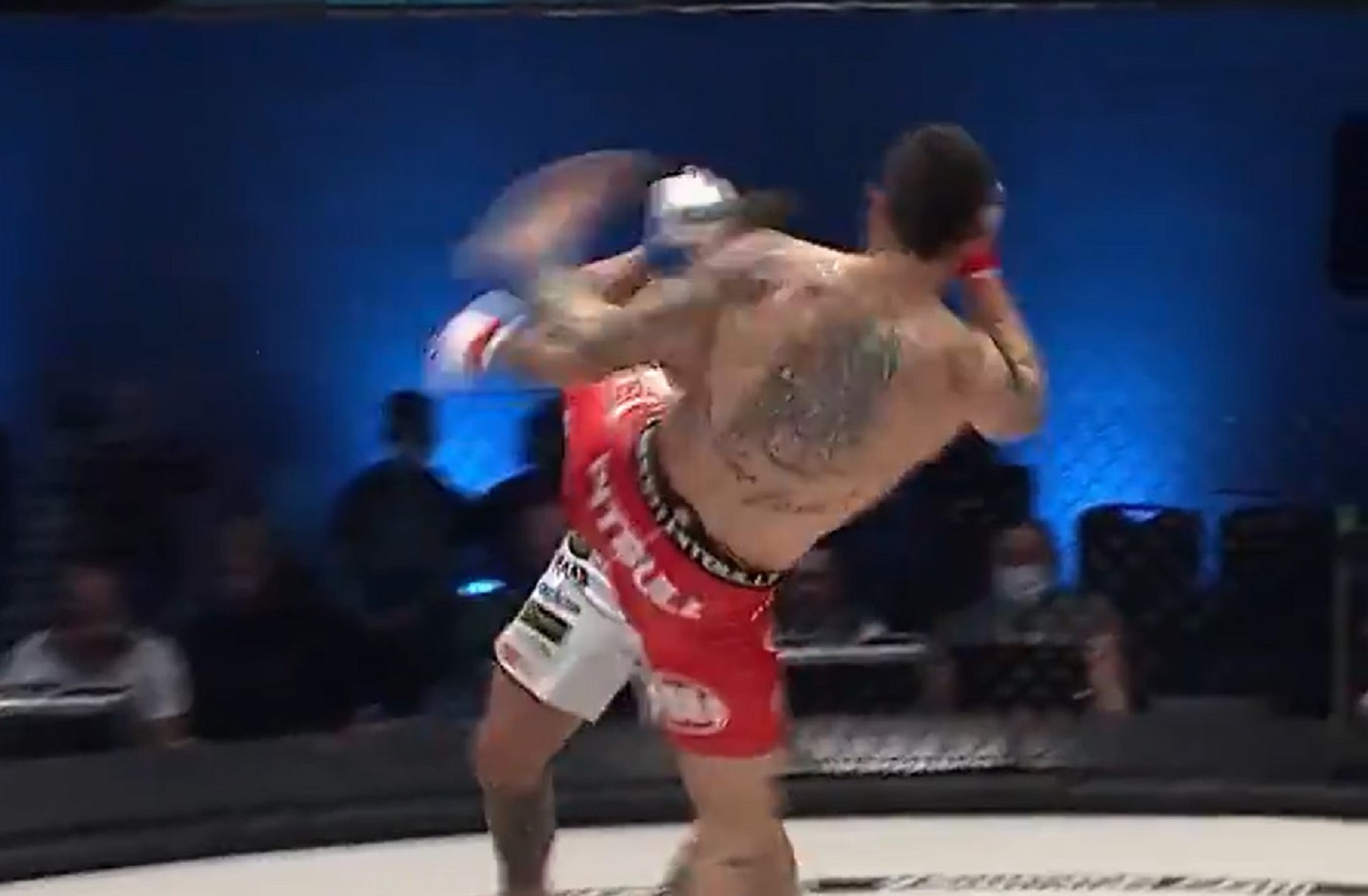 MMA Džoker: Ilić patosirao, pa pretukao Poljaka VIDEO NOVA portal