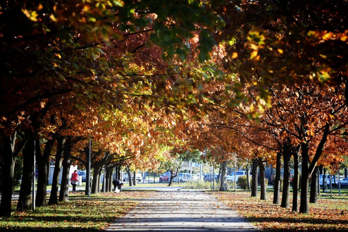 U subotu, 23. septembra, počinje jesen