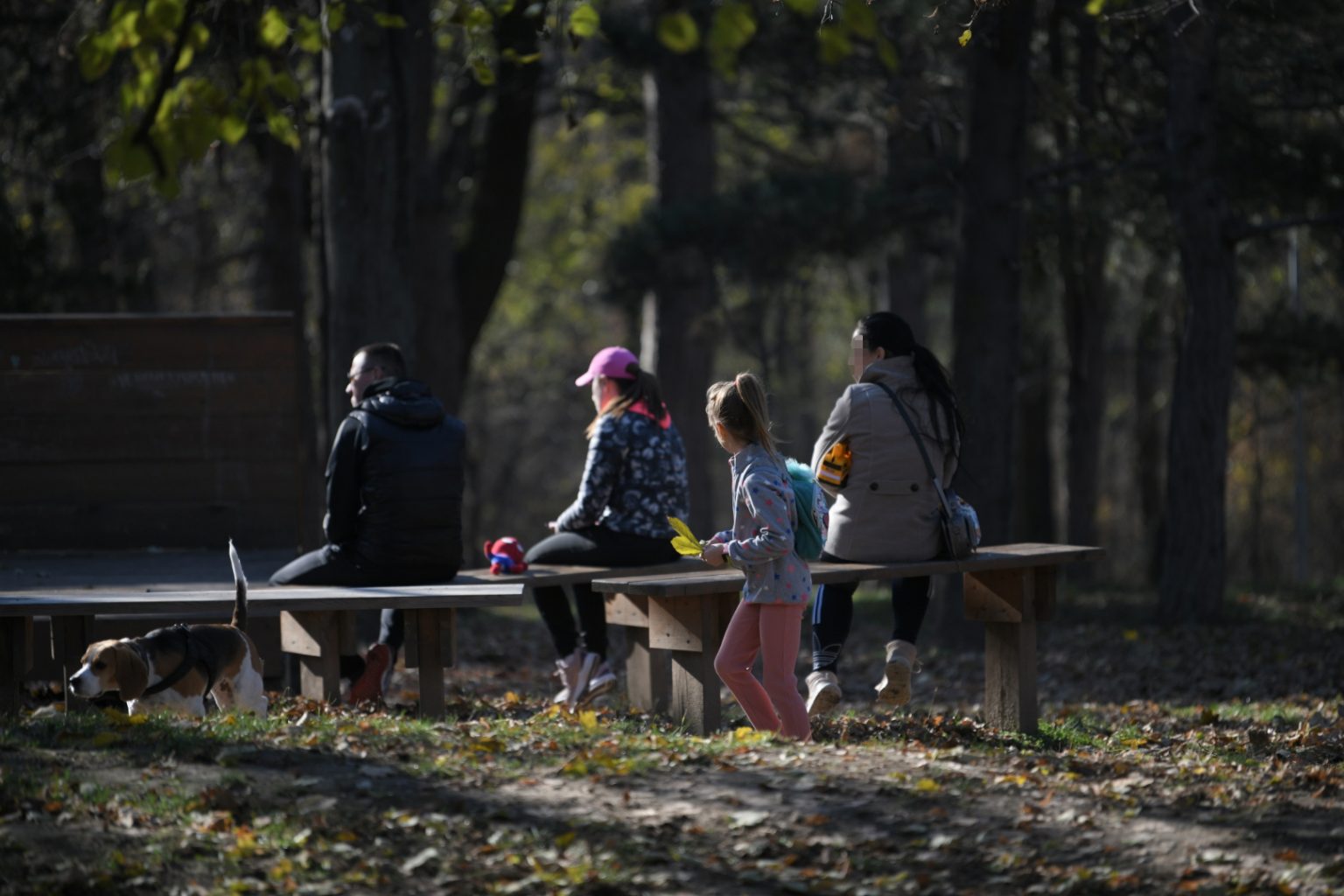 I dalje traje proleće u decembru: Pred nama je lep dan, a evo kada pada ...