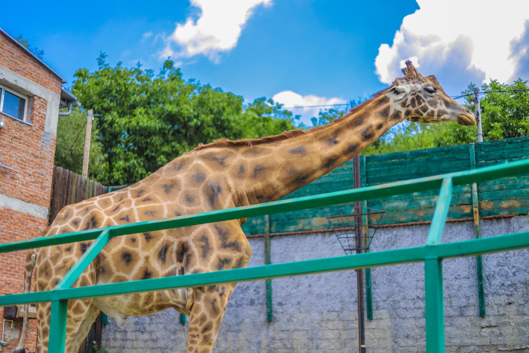 Zoo vrt u Jagodini pod lupom, nepravilnosti samo pljušte: Zaradio 19,2 ...