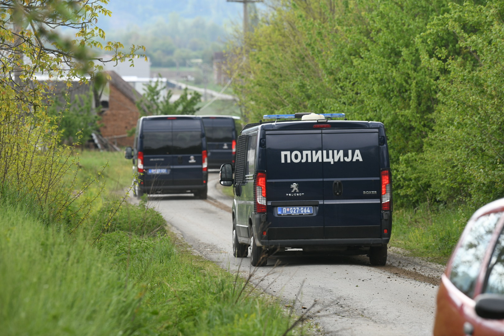 Muškarac iz Podujeva uhapšen u bespravnoj seči šume kod Kuršumlije ...