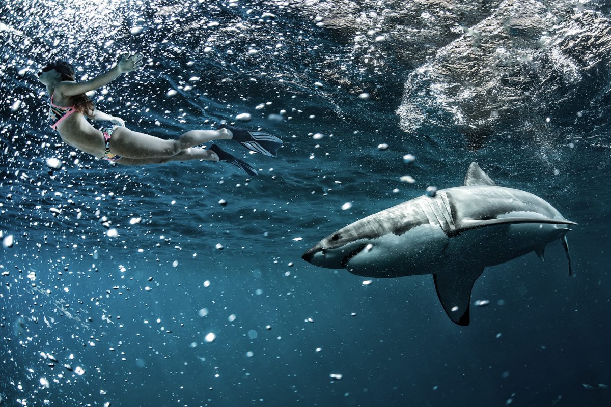 Spasioci izvukli na brod ženu koju je ajkula napala, ali bilo je kasno VIDEO