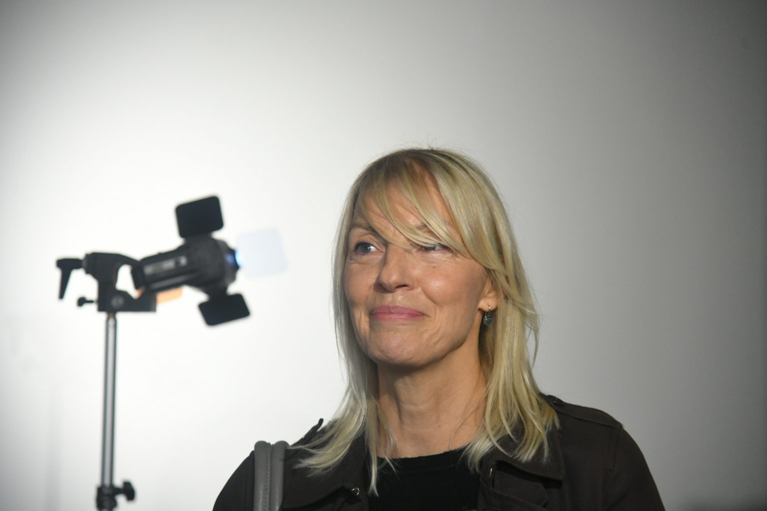 Milica Tomić: Sve se survava, gledamo kako svet tone u ambis