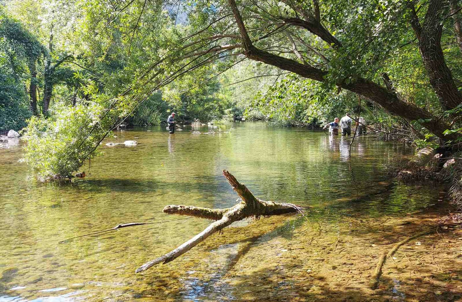 Srbija dobija novi specijalni rezervat prirode: Jedna od poslednjih ...
