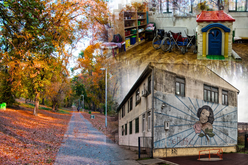 Vlast u Rumi se sprema da najuri decu sa smetnjama u razvoju u šumu, a ...