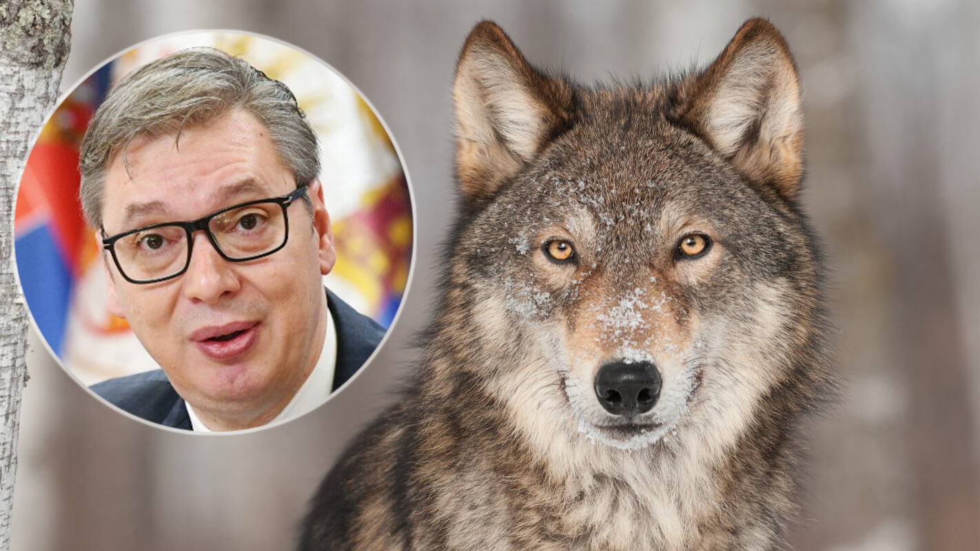 Zašto SNS koristi baš simbol vuka?