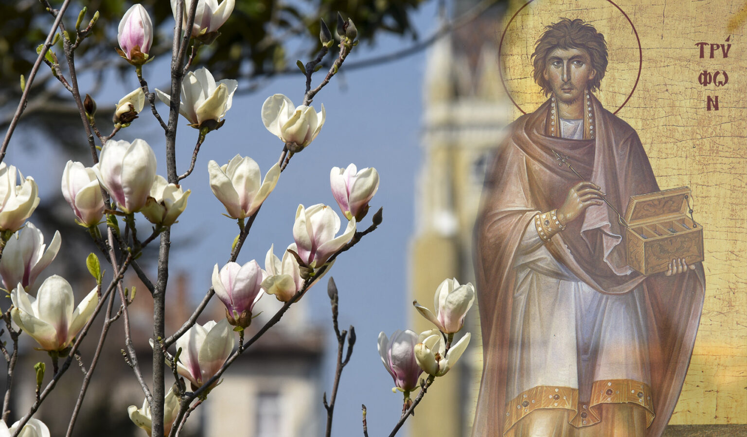 Sveti Trifun: Zašto i kako pravoslavni vernici slave ovaj praznik