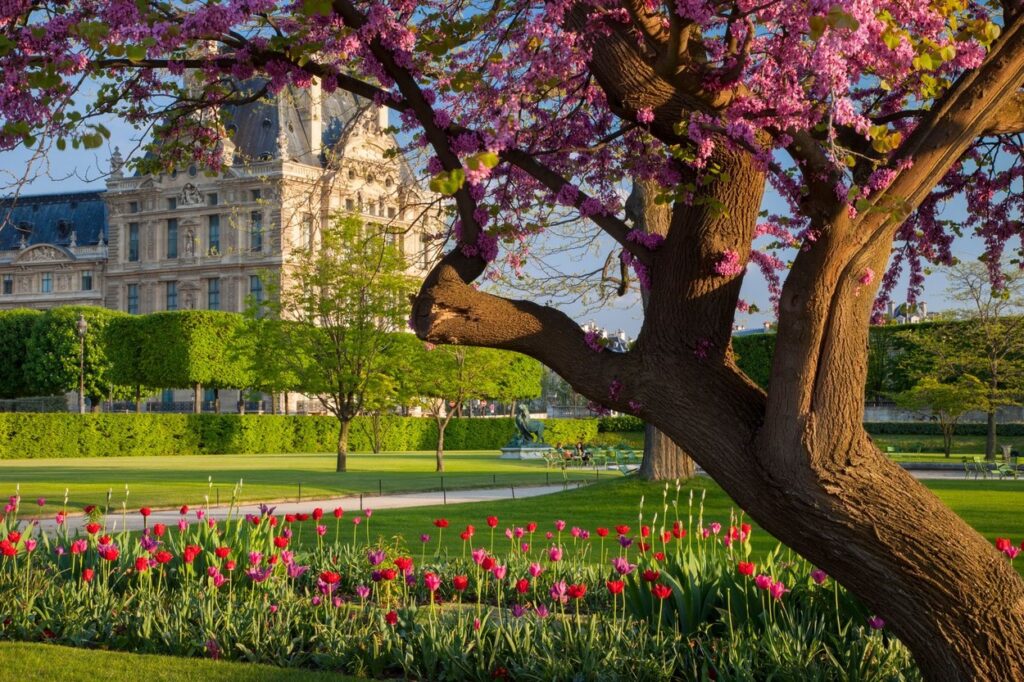 Evropska zemlja koja će do 2025. postati najposećenija na svetu