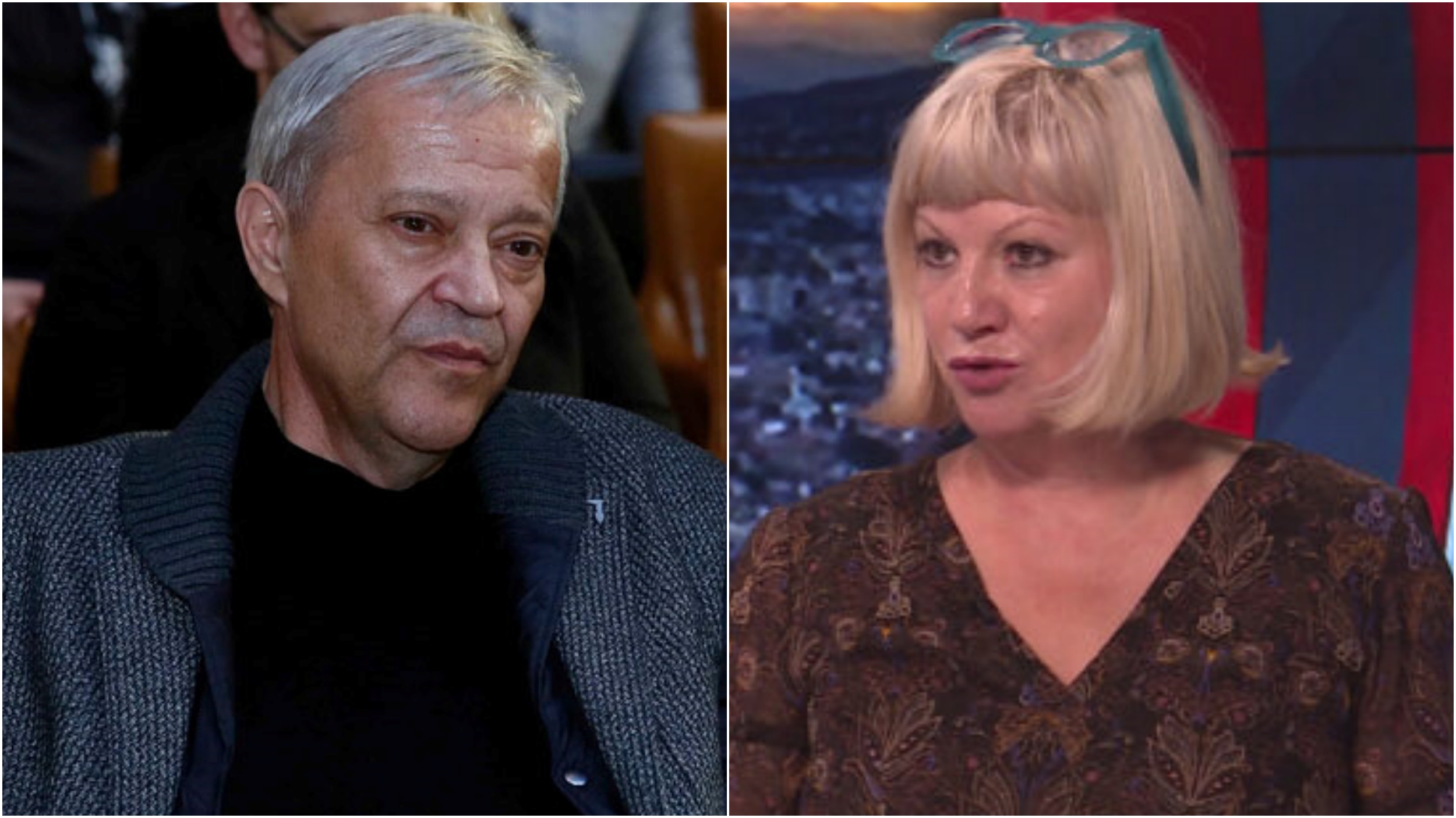 Hadžihafizbegović: Izjava ministarke kulture je za policijsko ...