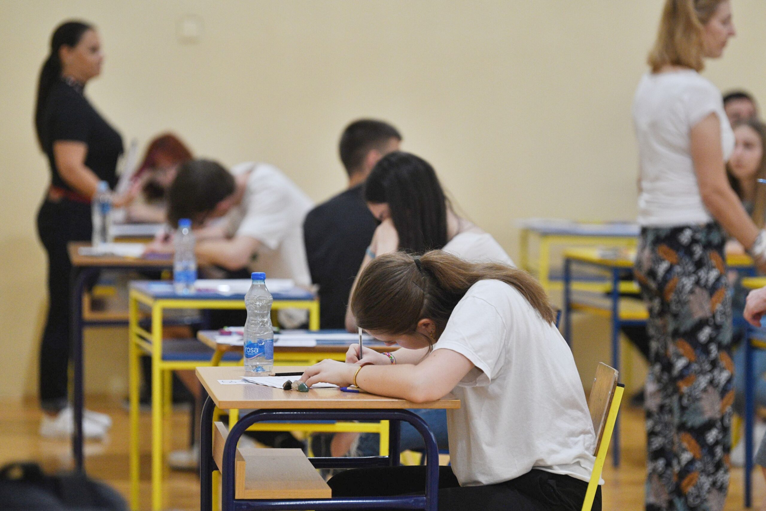 Kako izgleda prijava za učeničke stipendije "preko portala": Uputstvo ...