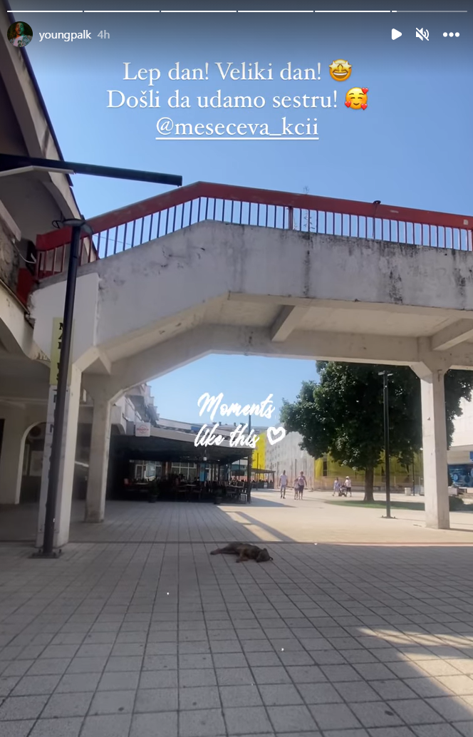 Udaje se glumica Miona Marković: Reći će "da" poznatom reditelju, a ćerka Anice Dobre dolazi na ...