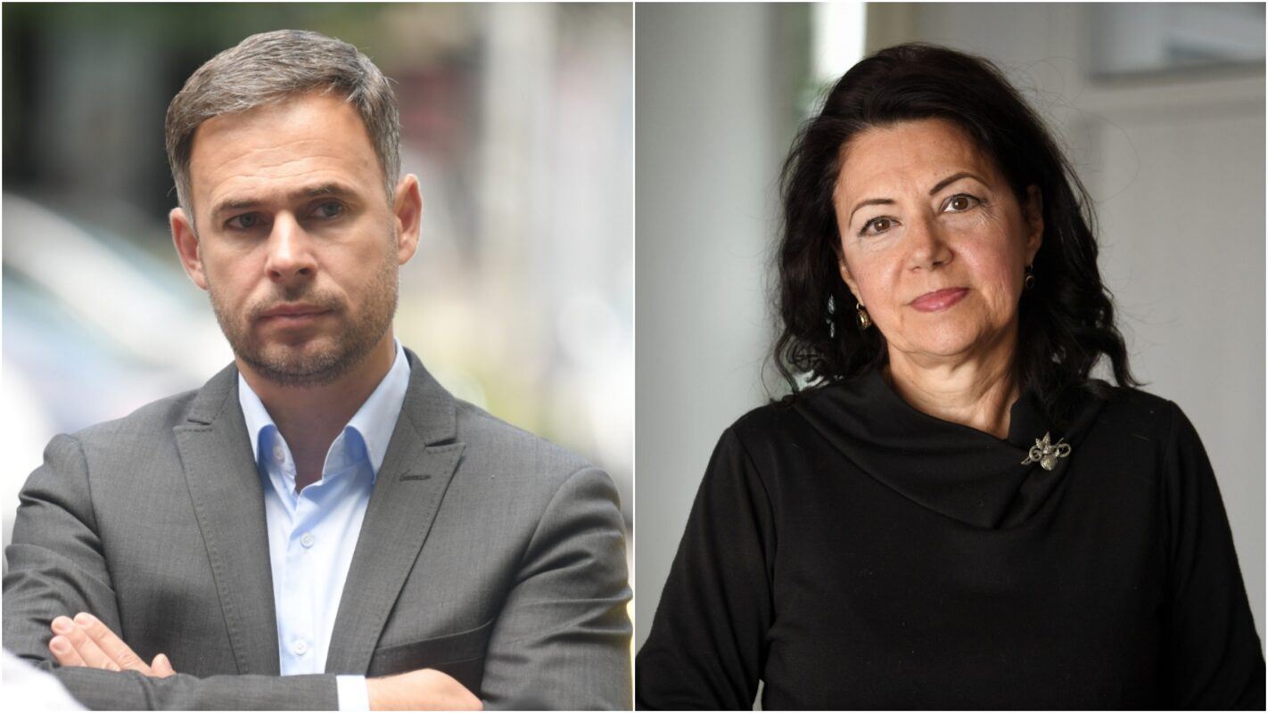 Rašković Ivić za Nova.rs o odluci Aleksića da napusti NS: Na slavi kod ...