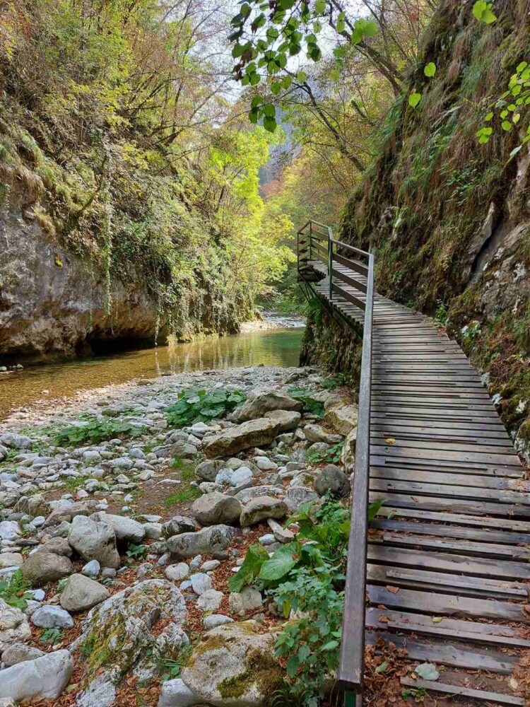 Visočka banja je srpski Tajland, i još bolje – a mnogi nisu ni čuli za nju