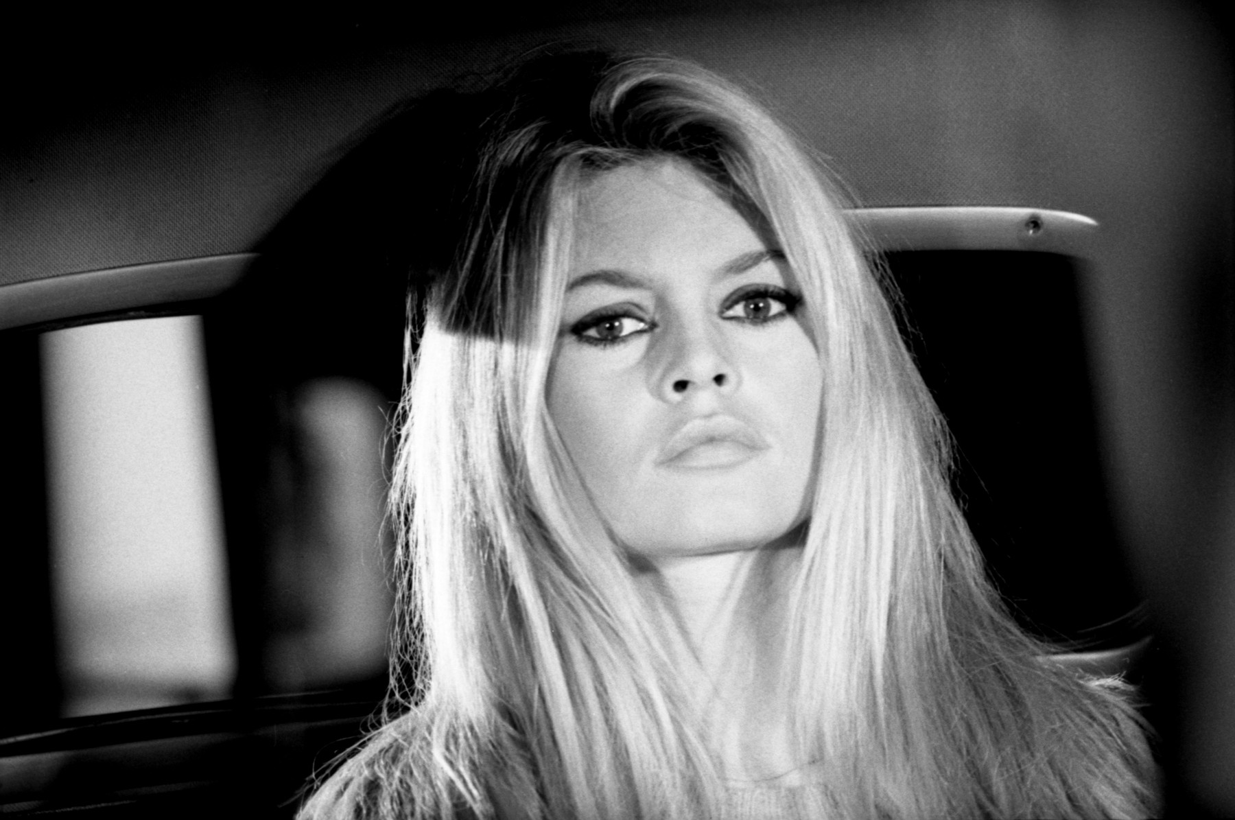 Brižit Bardo biografija