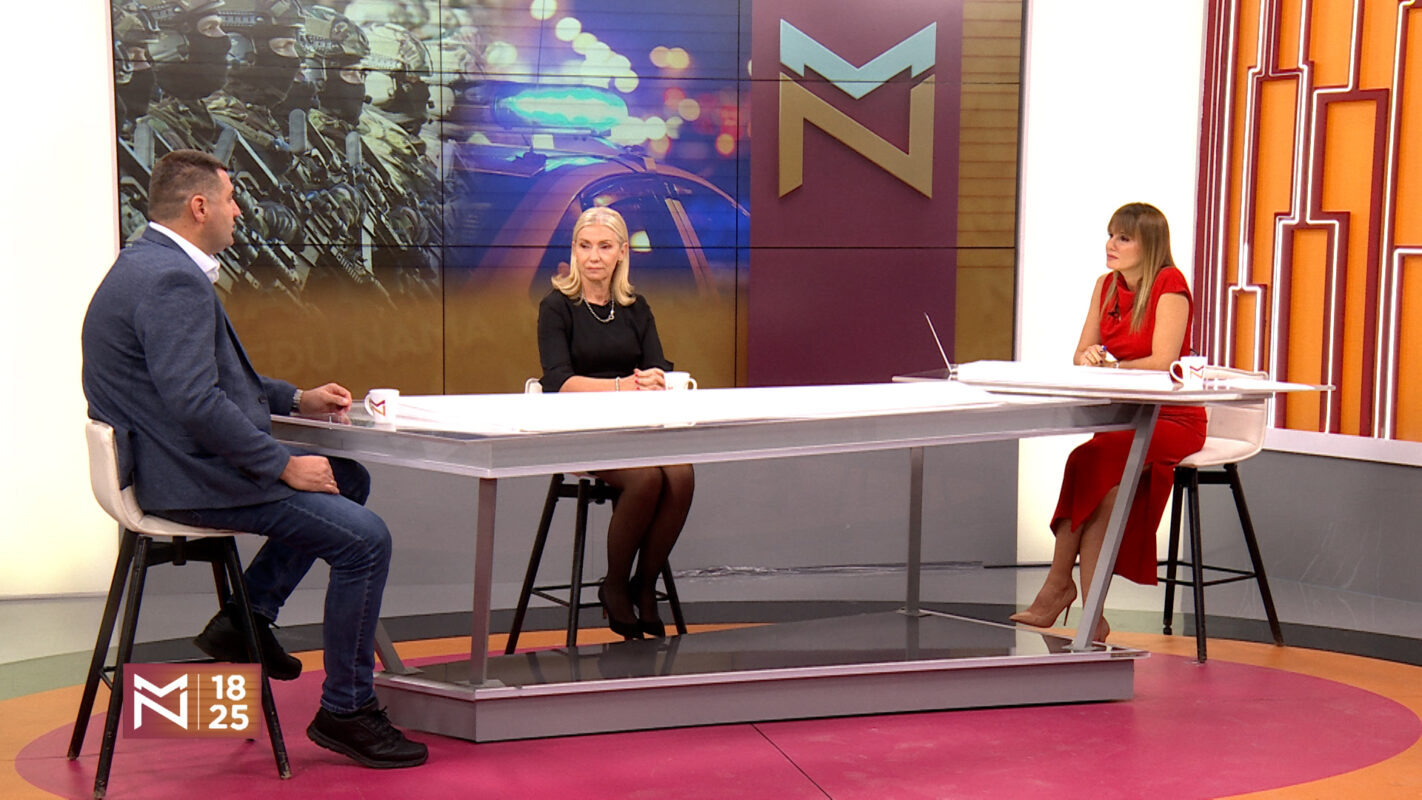 Novica Antić: Ministarstva sile vode organizovane kriminalne grupe