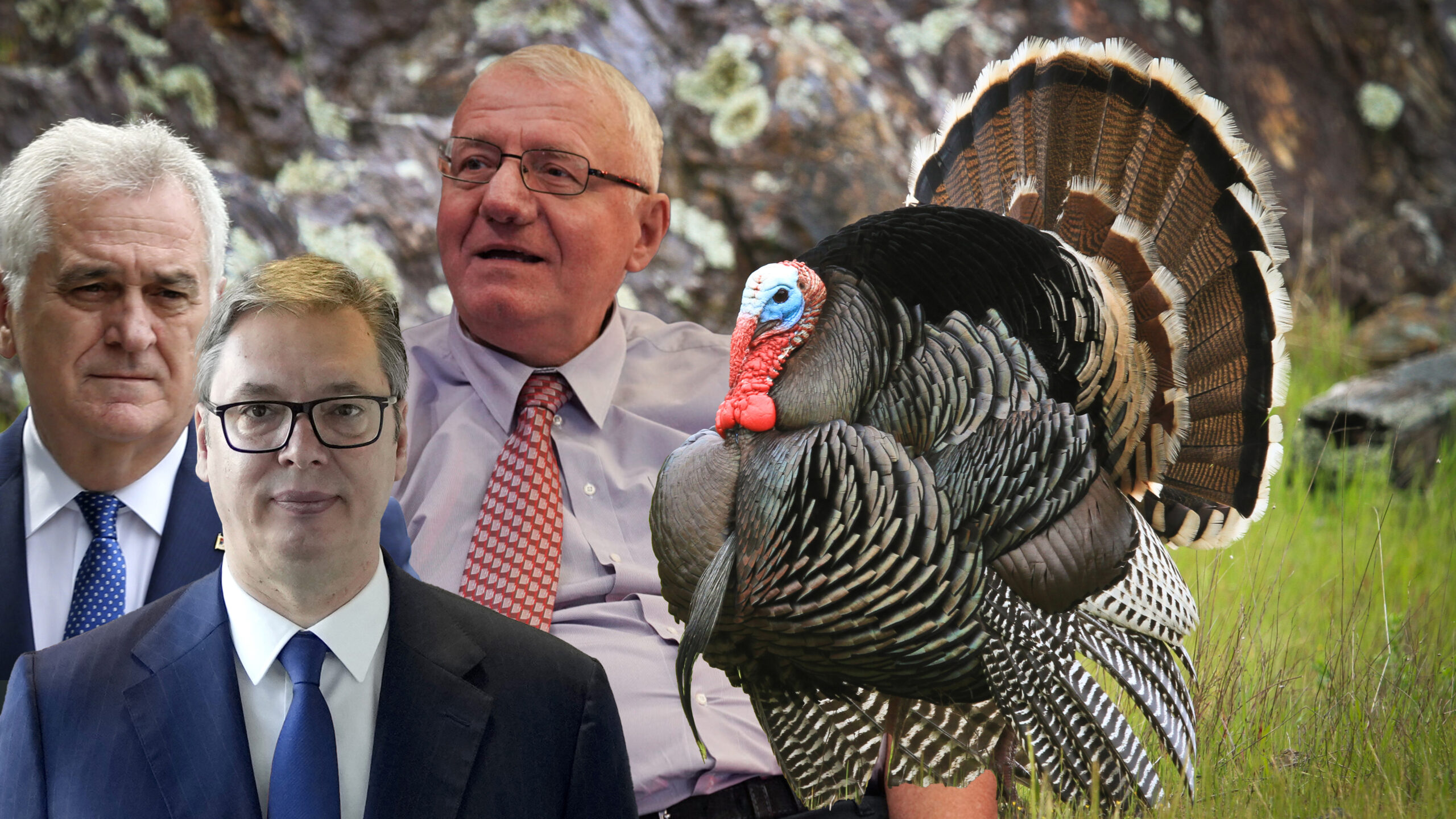I Bulatovićev ćuran u Vučićevoj kampanji, nisu mu dovoljni Toma i ...