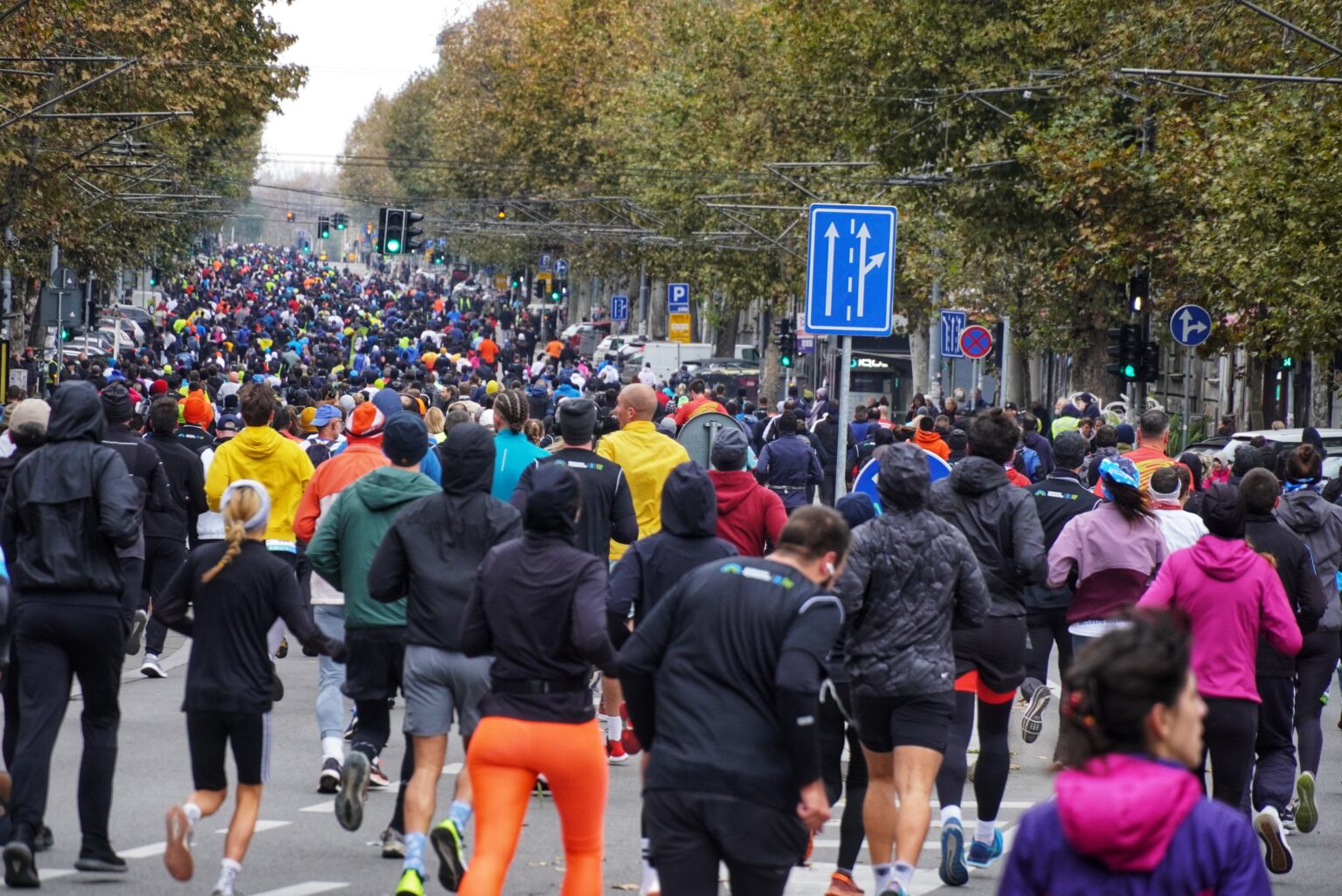 MAPA Koje ulice sutra obavezno izbegavati? Ovo su sve izmene na linijama gradskog prevoza zbog ...