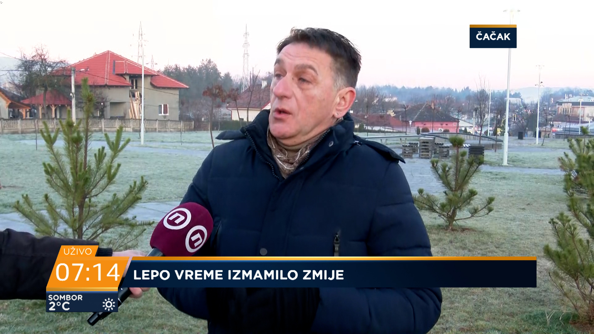 Šok na popularnoj planini: Invazija zmija otrovnica, izmamilo ih toplo ...