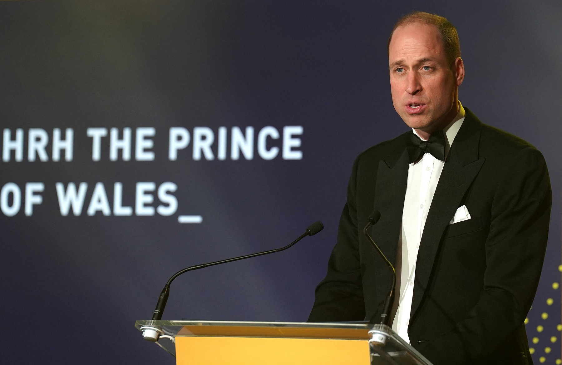 Vilijam sam na ceremoniji u znak sećanja na princezu Dajanu: Princ u ...