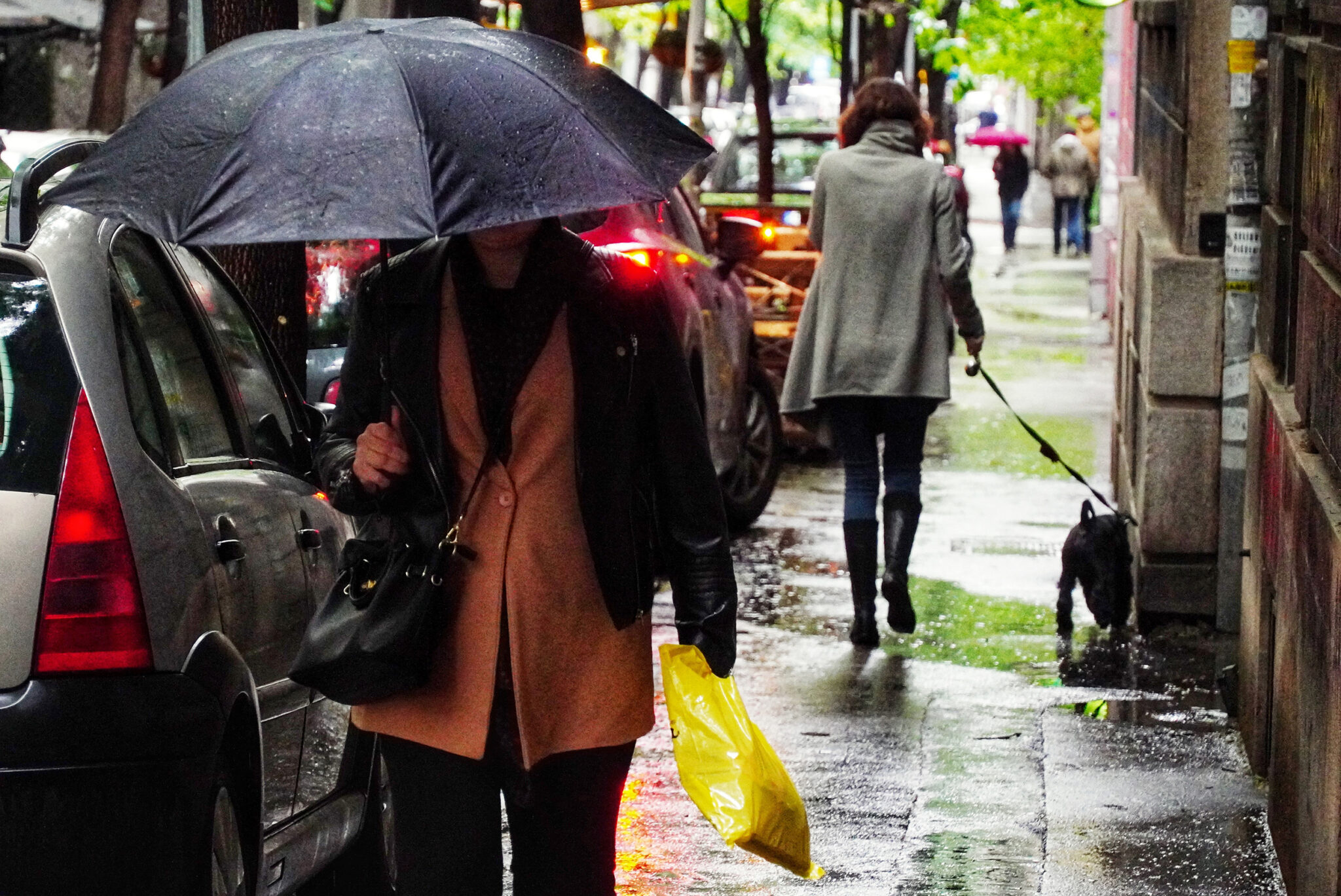 RHMZ najava: U naredna dva sata pljuskovi i sneg, razvedravanje večeras