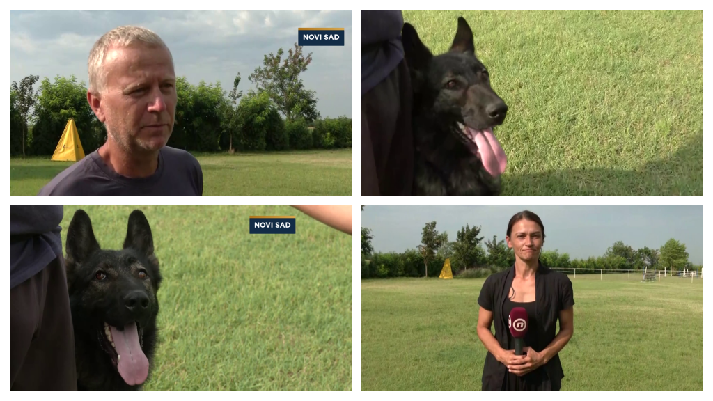 Pas usmrtio čoveka u Novom Sadu: Da li je do rase, odgoja ili do dresure?