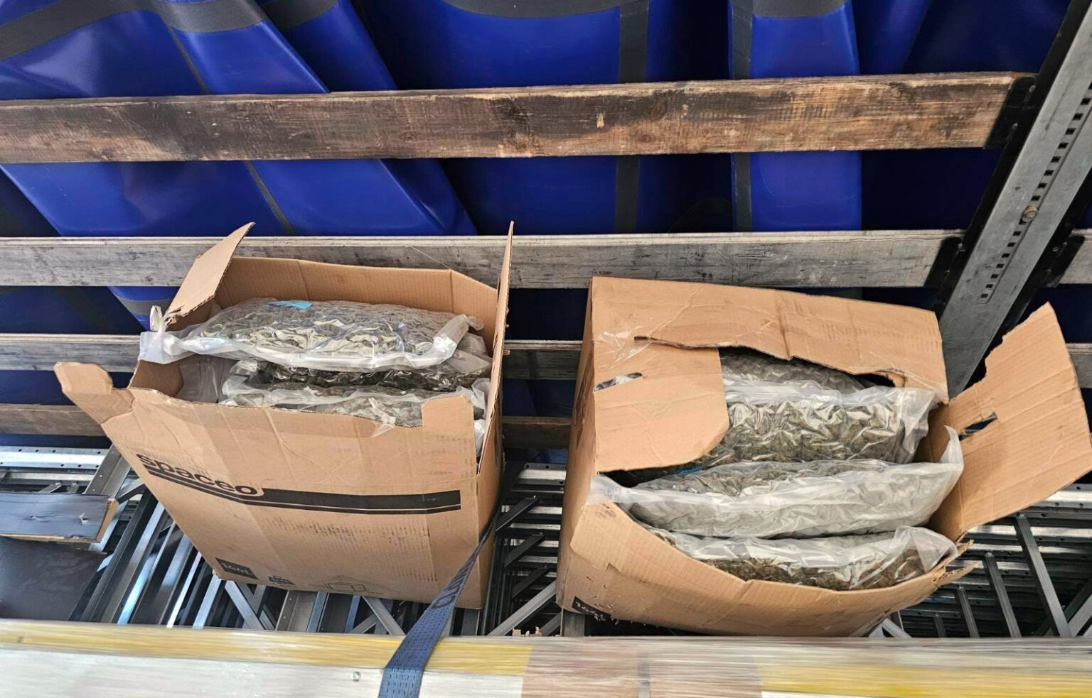 hapsenje bogojevo droga