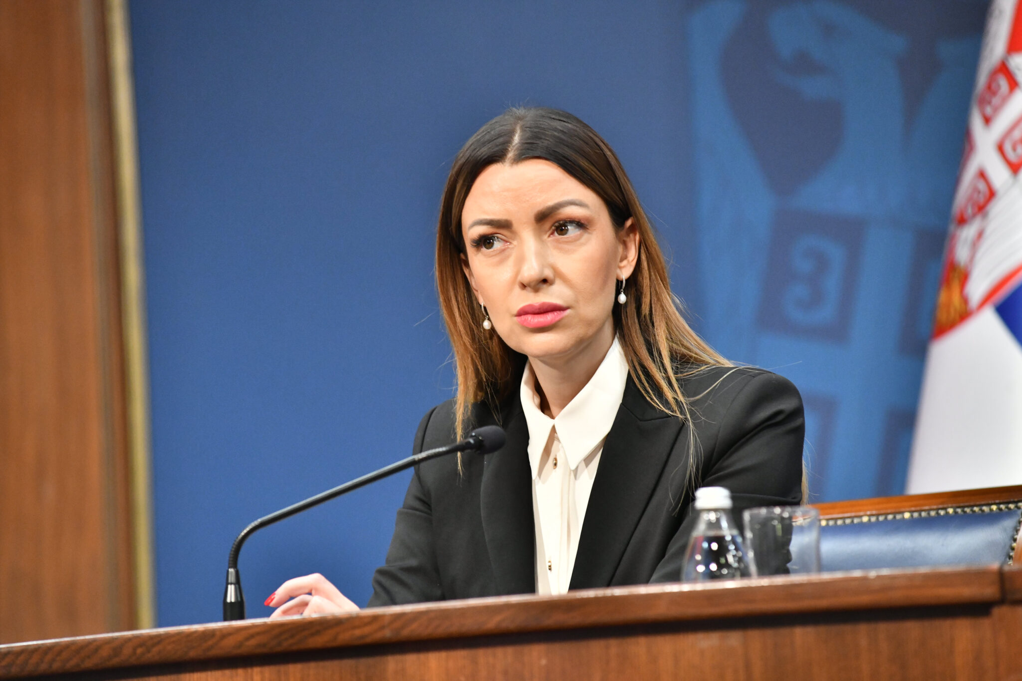 Ko je ministarka Adrijana Mesarović, koja će zameniti Tomu Monu