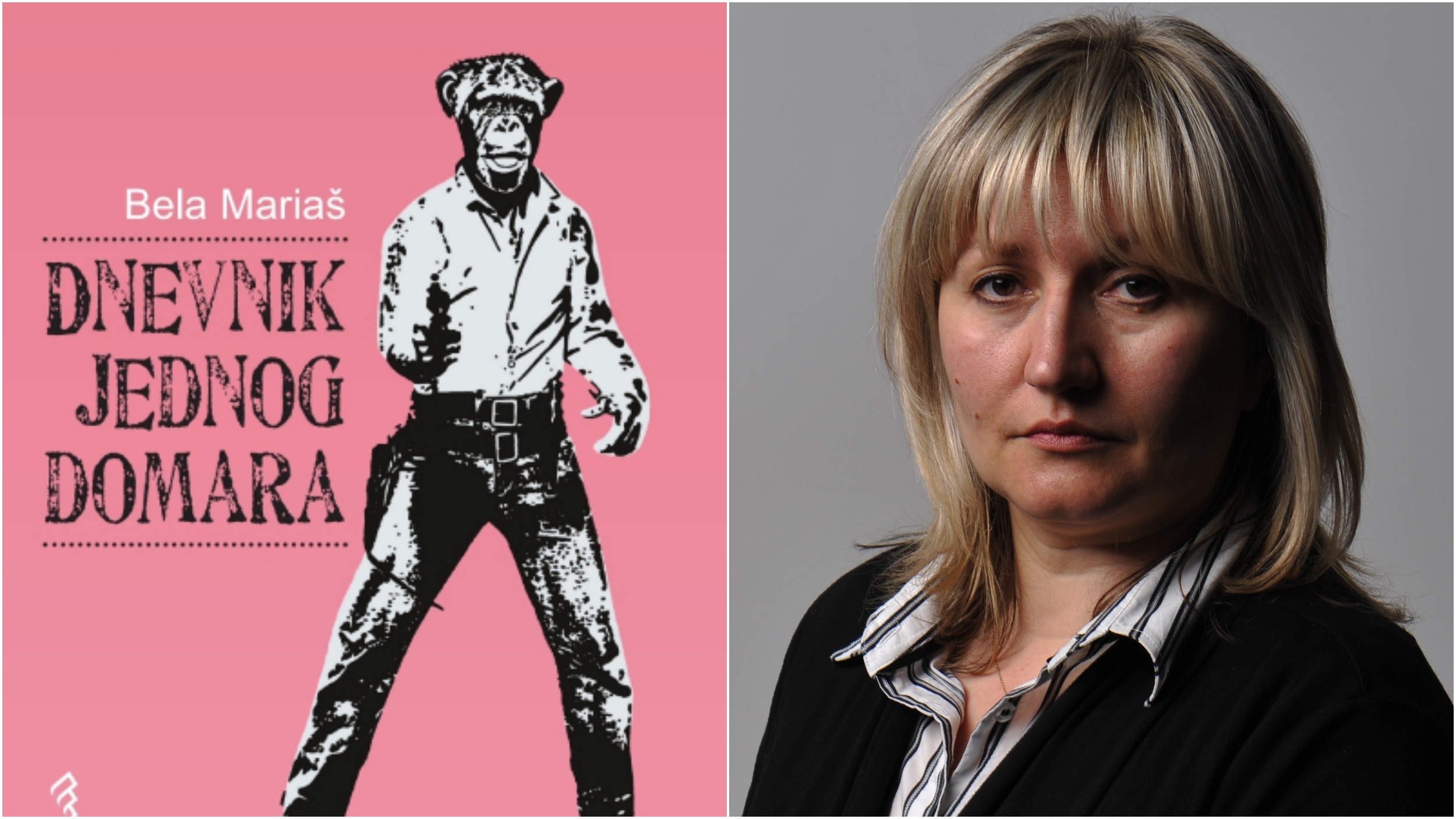 Kritika knjige Dnevnik jednog domara