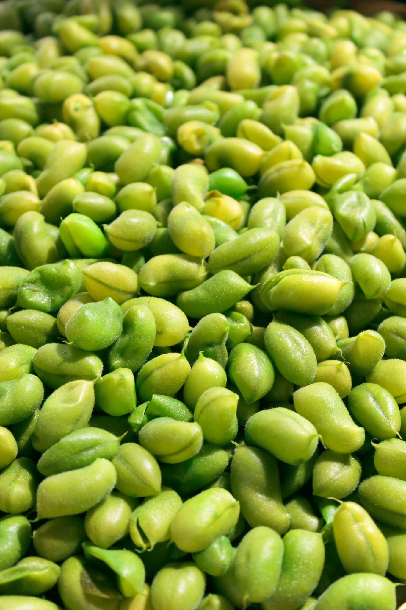 Edamame mahune su omiljena grickalica sportista