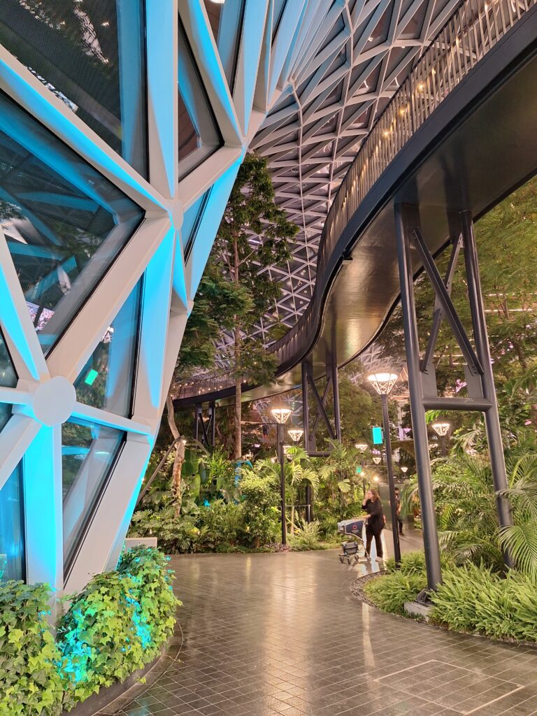 Bila sam na najboljem aerodromu na svetu i ovako nešto nikad nisam ...