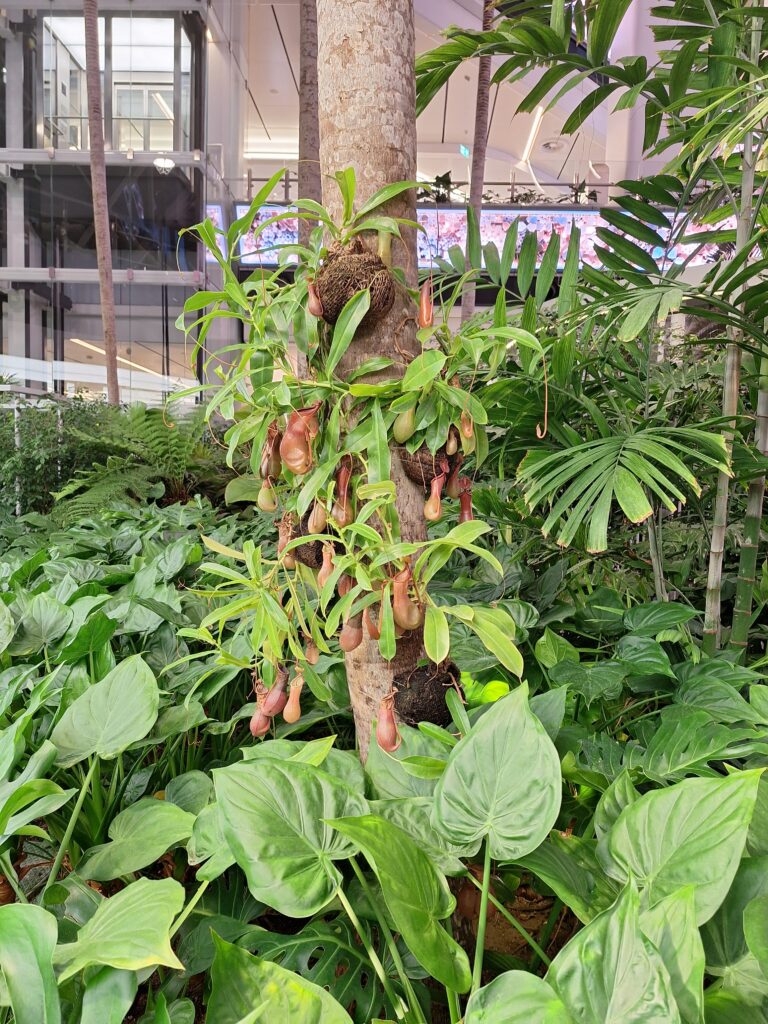 Bila sam na najboljem aerodromu na svetu i ovako nešto nikad nisam ...