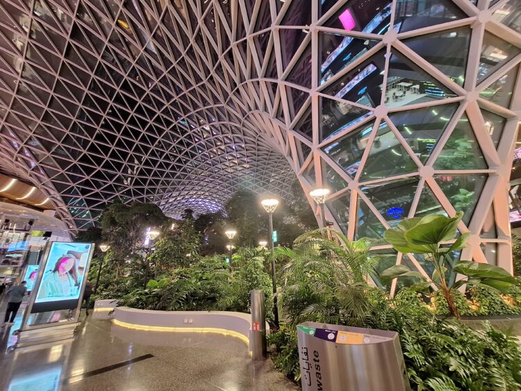 Bila sam na najboljem aerodromu na svetu i ovako nešto nikad nisam ...